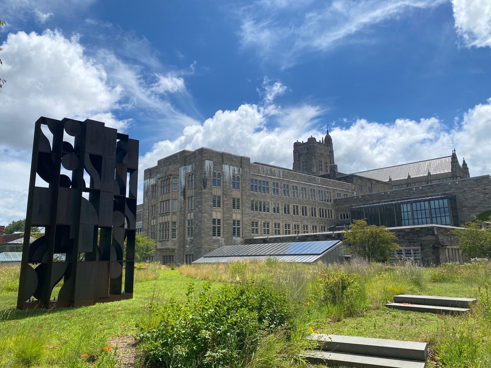 PRINCETON UNIVERSITY LIBRARY - Updated November 2024 - 16 Photos - 1 ...