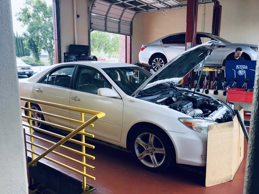 JJ AUTO REPAIR - Updated October 2025 - 11 Photos & 19 Reviews - 896 E ...