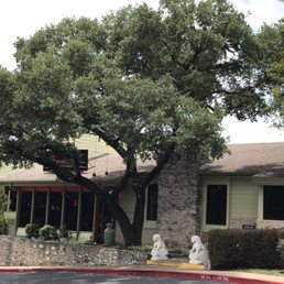 CHINATOWN NORTH - Updated December 2025 - 330 Photos & 474 Reviews ...