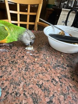 KNISH NOSH - Updated August 2024 - 110 Photos & 122 Reviews - 98-104 ...