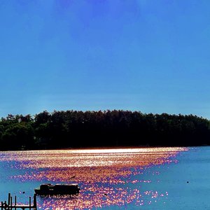 DON ARMENI BOAT RAMP - 27 Photos - 1222 Harbor Ave SW, Seattle ...
