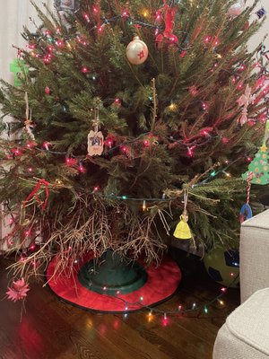 MIKE’S TREE FARM - Updated December 2025 - 19 Photos & 16 Reviews - 323 ...