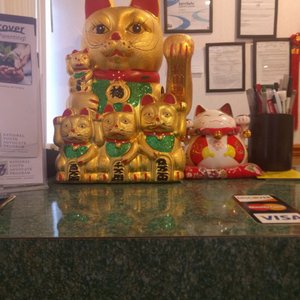 BRIGHT MOON BUFFET - 10 Photos & 34 Reviews - 2900 Wilmington Pk ...