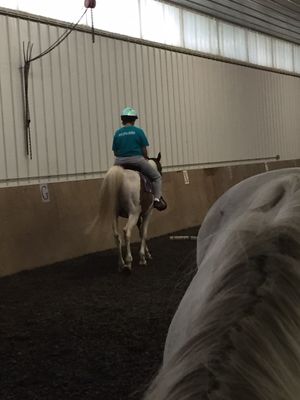 JACK PINE STABLES - Updated December 2024 - 12 Photos - 23940 291st Ave ...