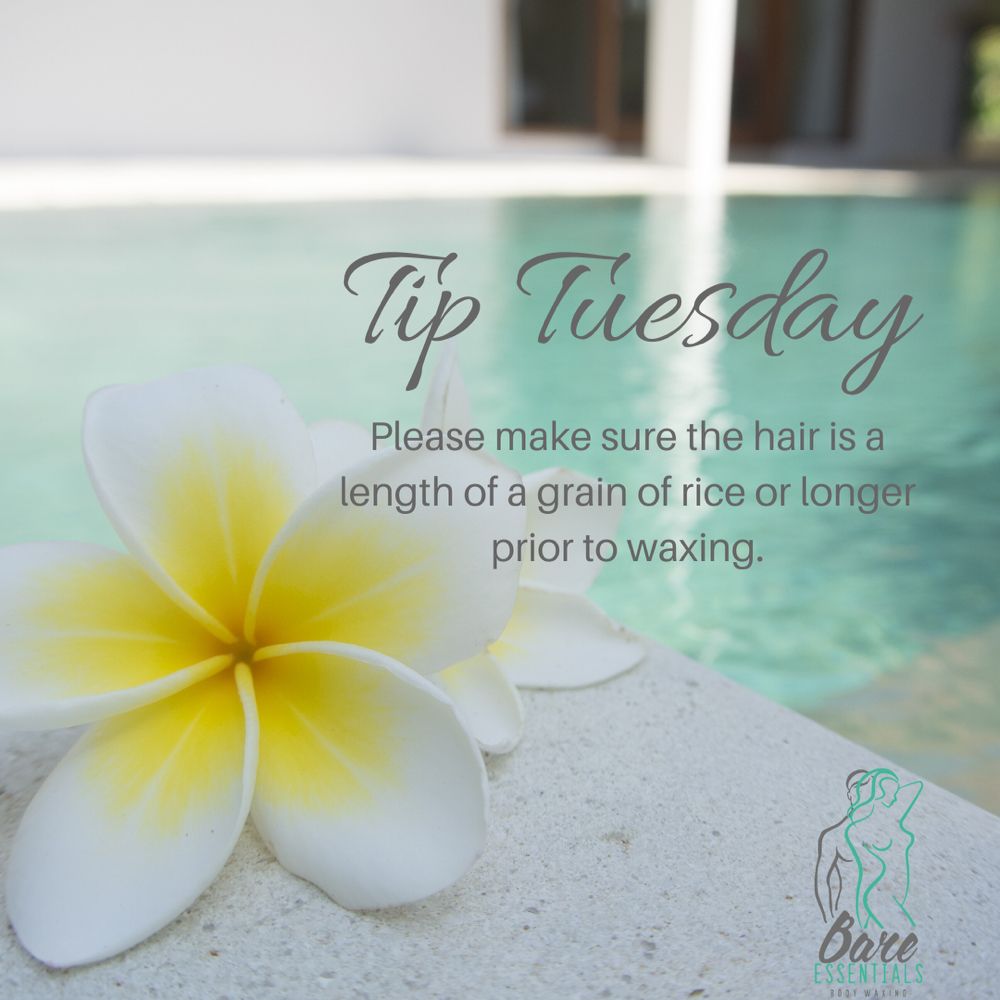 BARE ESSENTIALS BODY WAXING - 12 Photos & 24 Reviews - Houston, Texas ...