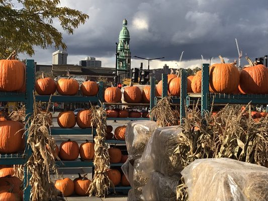 MARCHÉ ATWATER - 596 Photos & 188 Reviews - 138 Avenue Atwater ...