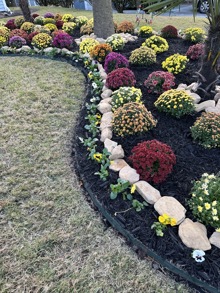 AAA UNION TREE SERVICE & STUMP REMOVAL - Updated June 2024 - 32 Photos ...