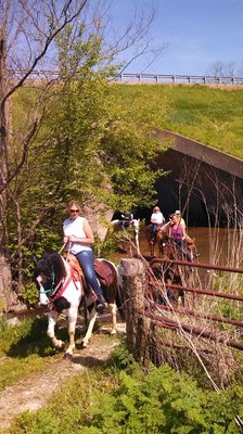 MISTY RIDGE FARM - Updated May 2026 - 43 Photos - 5210 Owl Creek Rd ...
