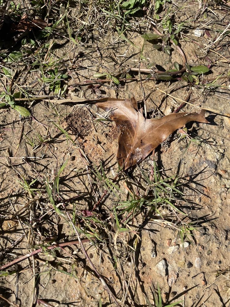 BIG STATE RV PARK - Updated December 2025 - 15 Photos - 2401 Maxwell St ...