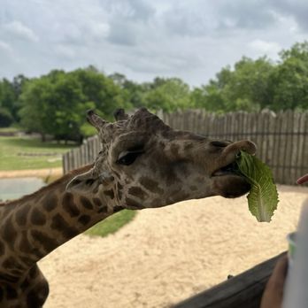 CALDWELL ZOO - Updated October 2025 - 440 Photos & 121 Reviews - 2203 W ...