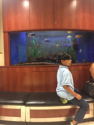 MACNEAL HOSPITAL - Updated September 2025 - 27 Photos & 123 Reviews ...