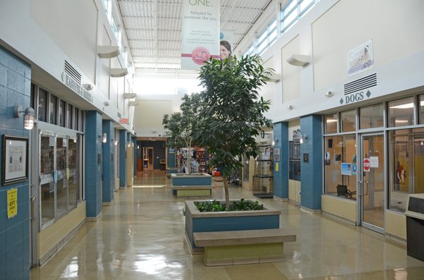 HUMANE SOCIETY OF MISSOURI - 34 Photos & 38 Reviews - 1201 Macklind Ave ...