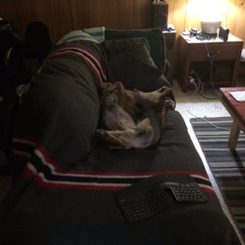 TORONTO ANIMAL SERVICES EAST SHELTER - Updated January 2026 - 39 Photos ...