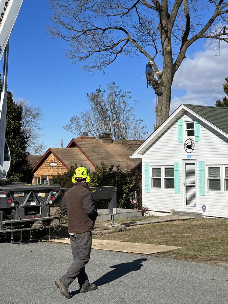 SCOTT CULLEN SERVICES - Earleville, MD - Yelp