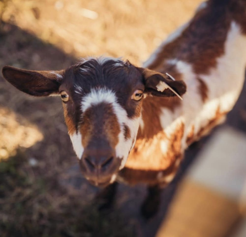 WILSON FAMILY FARM - Updated October 2025 - 16 Photos - 14552 OH-775 ...