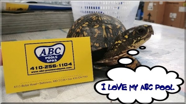 ABC POOLS & SPAS - Updated October 2025 - 8313 Belair Rd, Nottingham ...