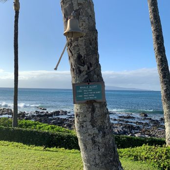 NAPILI SURF BEACH RESORT - Updated October 2025 - 93 Photos & 55 ...