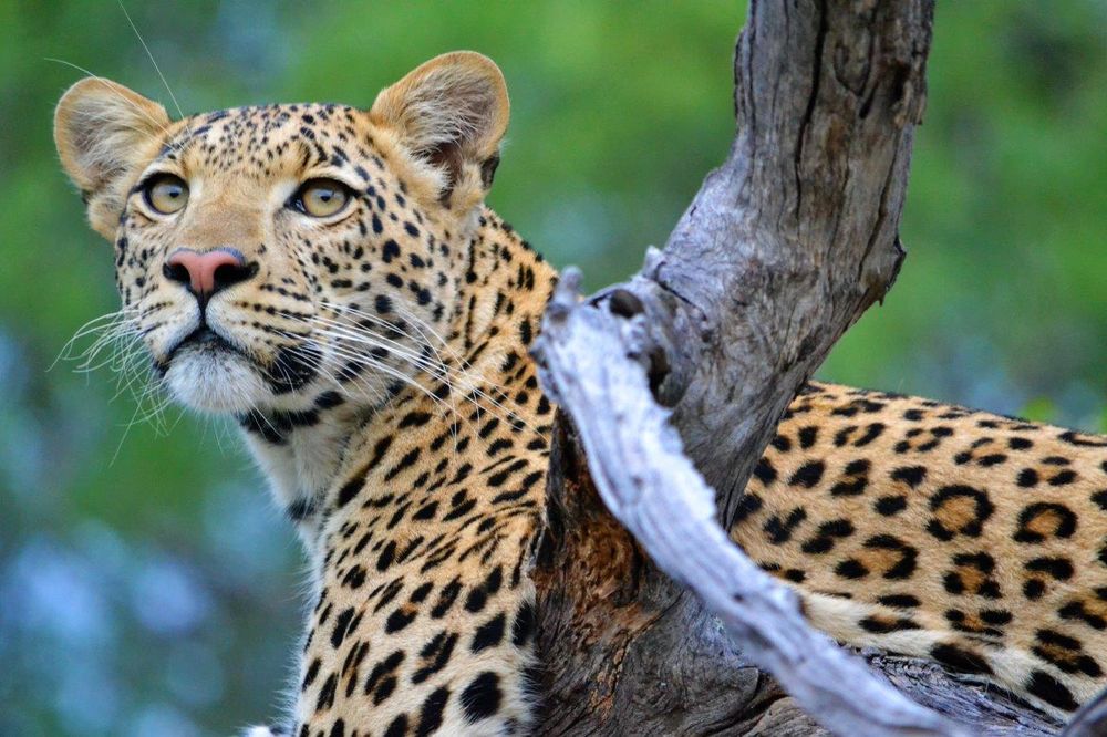 MCCABE WORLD TRAVEL - Updated October 2025 - 11 Photos & 17 Reviews ...