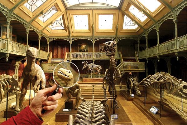 MUSÉE MINIATURE ET CINÉMA - 218 Photos & 89 Reviews - 60 rue Saint Jean ...