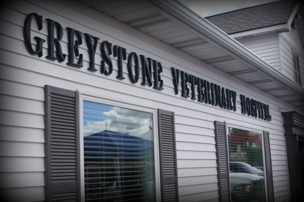 GREYSTONE VETERINARY HOSPITAL - Updated January 2026 - 13 Photos & 31 ...
