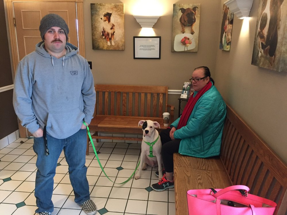 ASHBURN VETERINARY HOSPITAL - 20 Photos & 17 Reviews - 20893 Stubble Rd ...