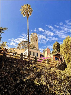 FILBERT STEPS - 431 Photos & 246 Reviews - Local Flavor - Filbert St ...