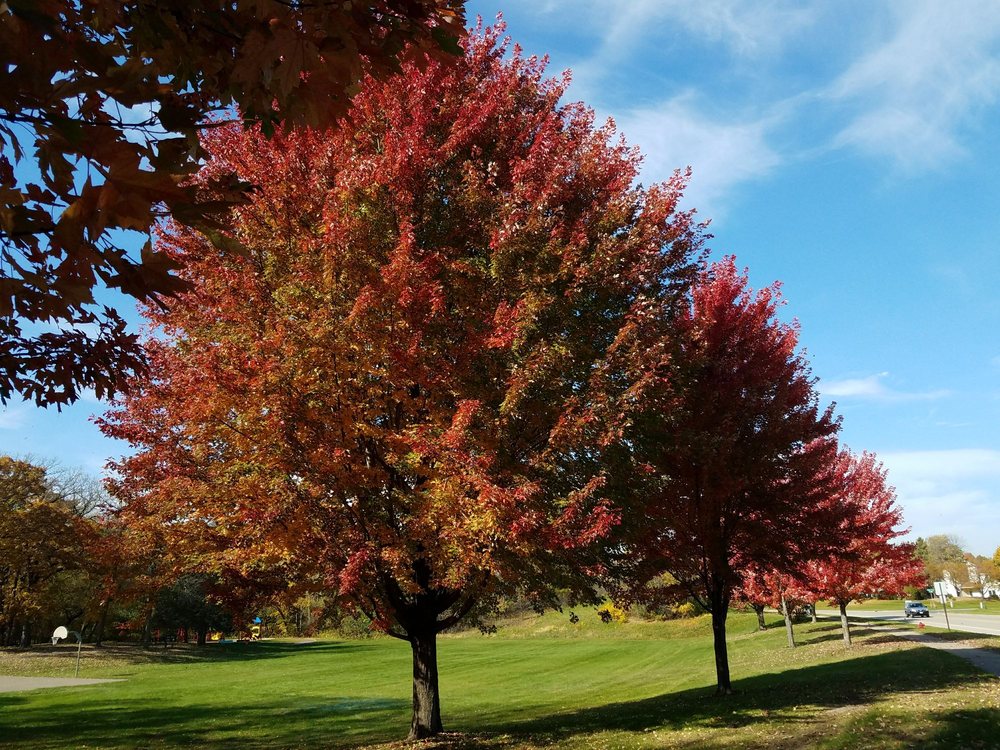 QUAIL RIDGE PARK - Updated April 2025 - 38 Photos - 11275 Oregon Cir ...