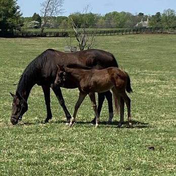 MILL RIDGE FARM - Updated October 2025 - 73 Photos & 16 Reviews - 2800 ...