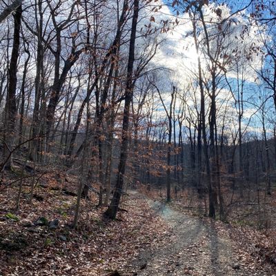 WARD POUND RIDGE RESERVATION - Updated October 2025 - 60 Photos & 25 ...