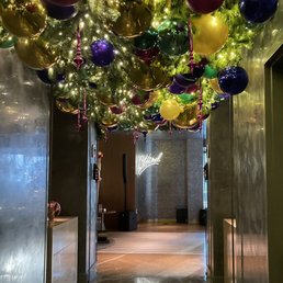 CATBIRD - Updated January 2025 - 651 Photos & 354 Reviews - 1401 Elm St ...