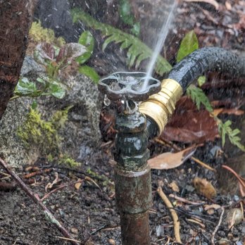 READY ROOTER - Updated June 2024 - 96 Photos & 15 Reviews - 13222 SE ...