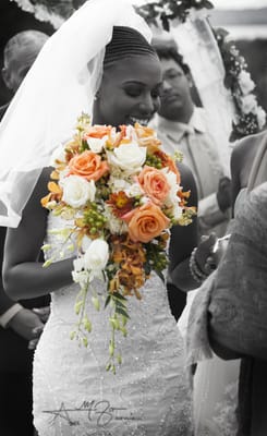 AMF VISUALS - Updated March 2025 - Silver Spring, Maryland ...