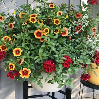 DONNER FLOWER SHOP - Updated November 2024 - 34 Photos & 60 Reviews ...