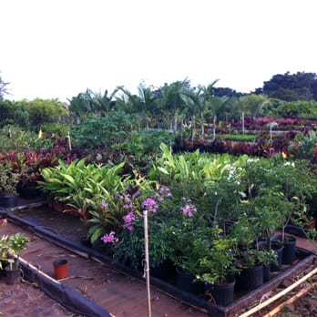 KUNIA COUNTRY FARMS - Updated August 2024 - 51 Photos & 19 Reviews - 92 ...