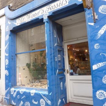 MR WOOD’S FOSSILS - Updated December 2025 - 25 Photos & 11 Reviews - 5 ...