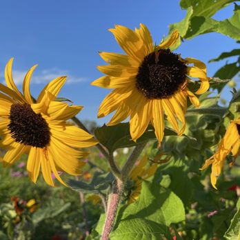 ROCKSIDE WINERY AND VINEYARDS - Updated July 2024 - 116 Photos & 54 ...