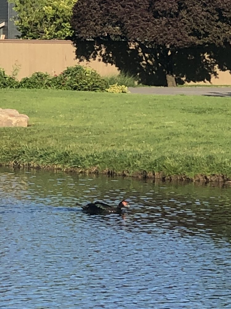 SETTLERS PARK - Updated June 2024 - 52 Photos & 28 Reviews - 3245 N ...