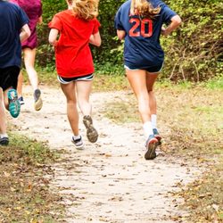 SOLID ROCK COMMUNITY SCHOOL - 21 Photos - 2801 Keystone Rd, Tarpon ...