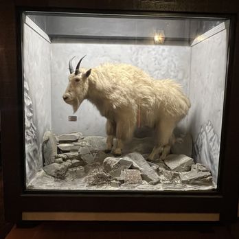 AJ SPURS SALOON & DINING HALL - Updated December 2025 - 515 Photos ...