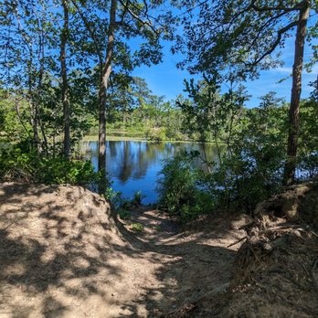 BIRCH GROVE PARK - Updated December 2025 - 21 Photos - 1700 Burton Ave ...