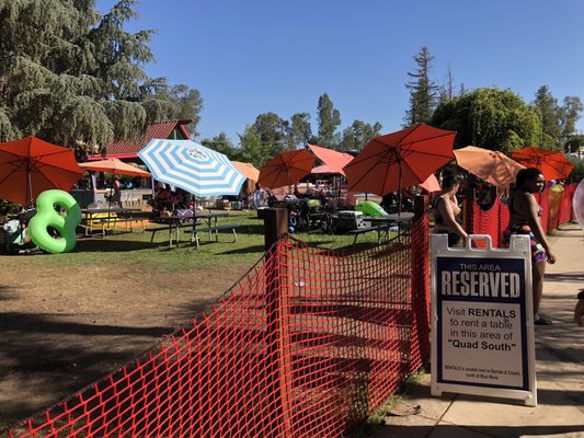 WILD WATER ADVENTURE PARK - Updated January 2025 - 147 Photos & 195 ...