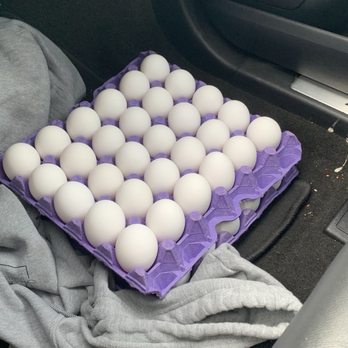 GOLDEN FRESH EGG RANCH - Updated October 2025 - 58 Photos & 81 Reviews ...