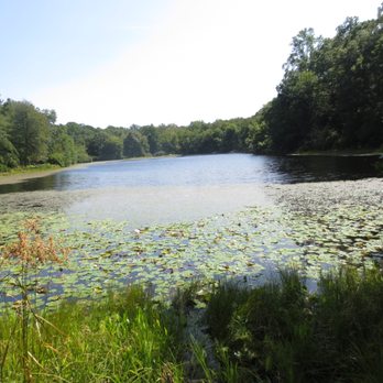 DAY POND STATE PARK - Updated August 2024 - 36 Photos - Day Pond Rd ...