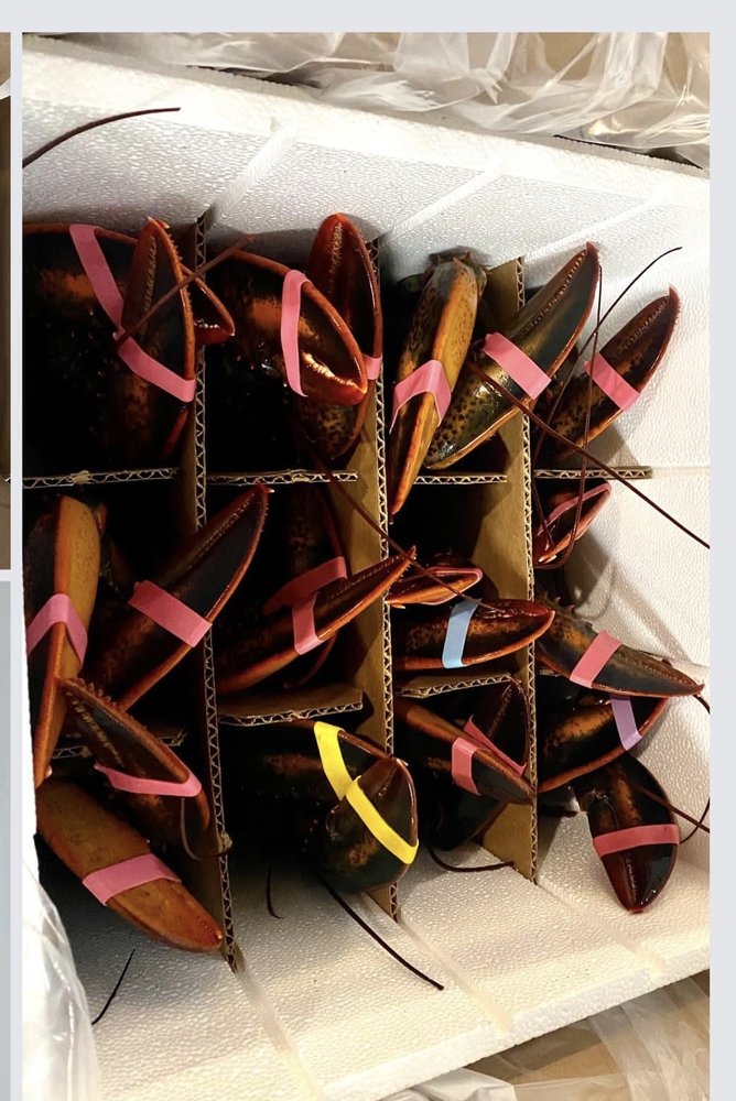 MS CLAWS LOBSTER AND SEAFOOD - Updated October 2025 - 14 Photos - 24 ...