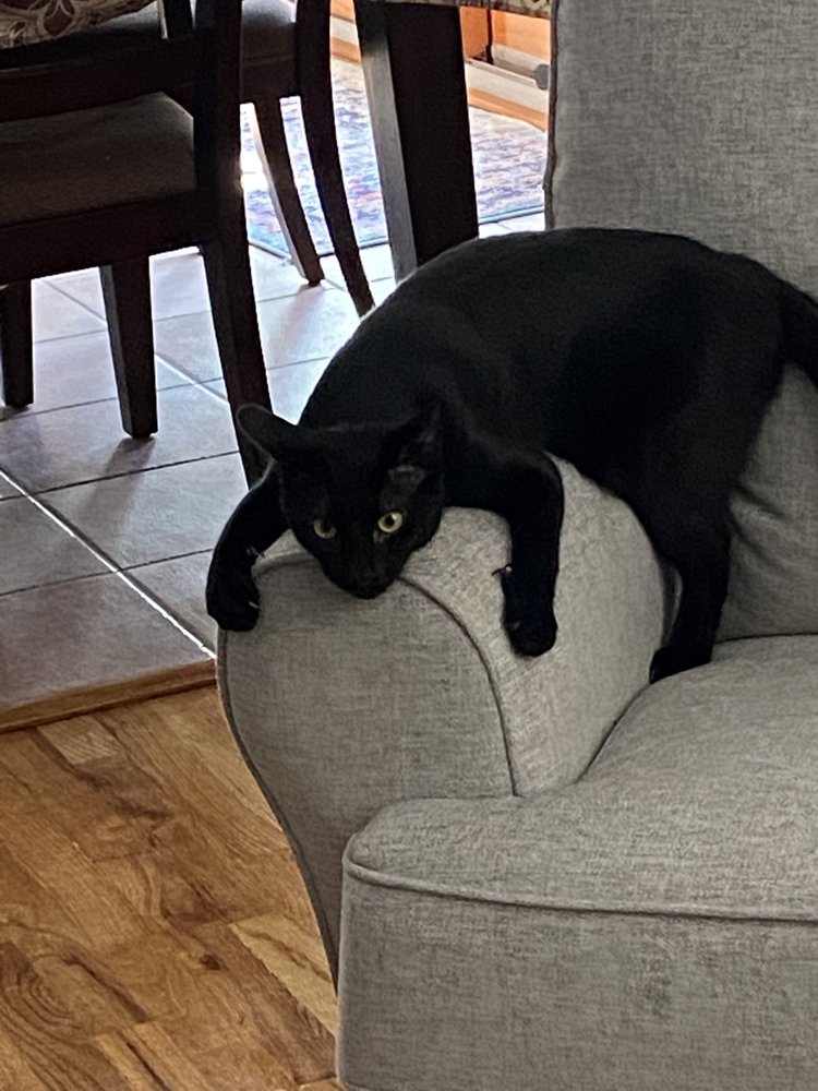 APPLE WALT WHITMAN - Updated December 2024 - 28 Photos & 144 Reviews ...