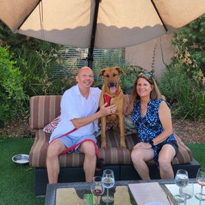 RUFF HOUSE PET RESORT - Updated September 2025 - 231 Photos & 212 ...