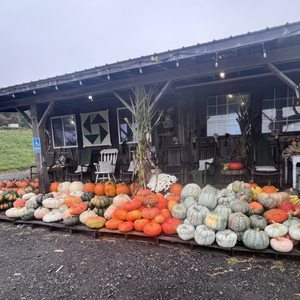 HOGPEN HILL FARM - Updated January 2025 - 100 Weekeepeemee Rd, Woodbury ...