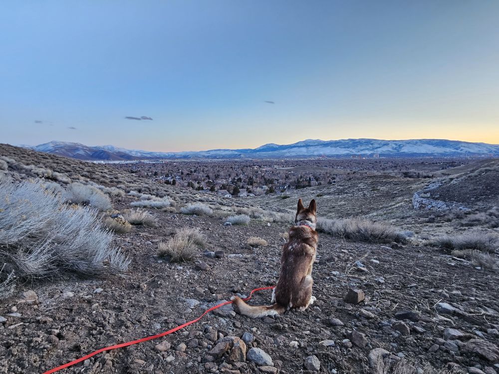 METHOD K9 - Updated December 2025 - 3370 E Quad Park Ct, Post Falls, Idaho - Dog Walkers - Phone ...