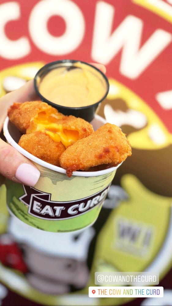 THE COW AND THE CURD - 70 Photos & 118 Reviews - 2210 Cottman Ave ...