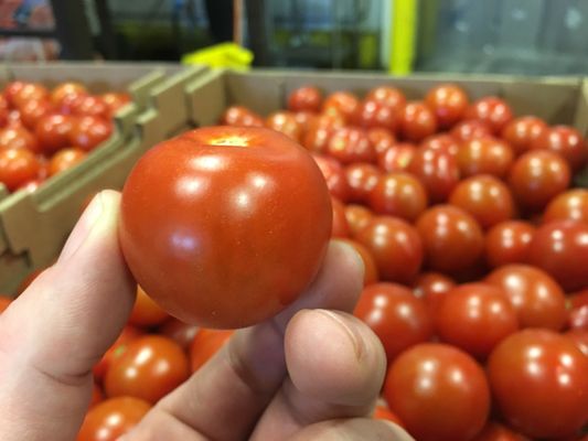 DENNIS PAPER & FOOD SERVICE - Updated May 2026 - 18 Photos - 101 Mecaw ...